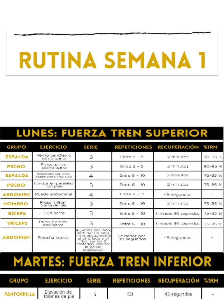 Hardcore Gainz | PDF