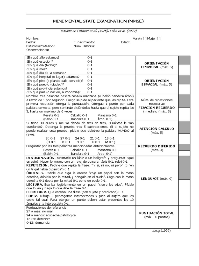 Mini Mental State Examination PDF | PDF