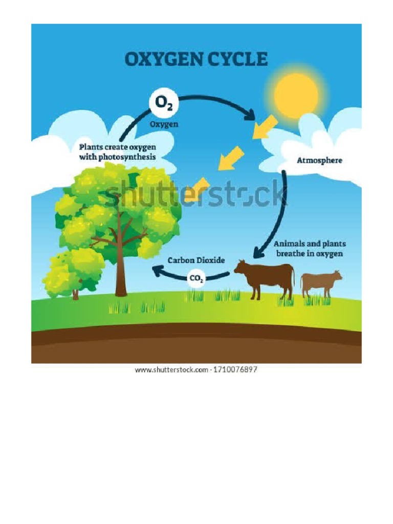 Cycles of Earth | PDF