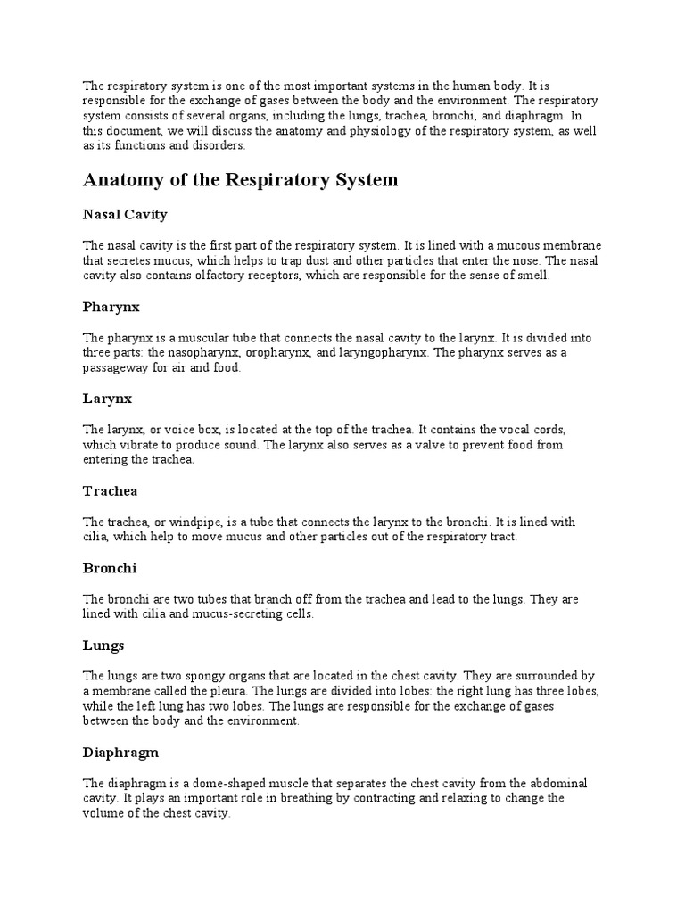 The Respiratory System | Download Free PDF | Respiratory Tract | Lung
