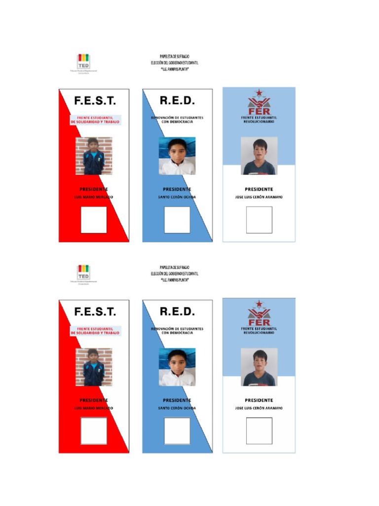 Modelo de Papeleta Word | PDF