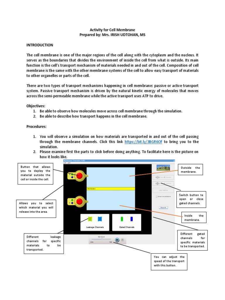 Cell Membrane Transport Simulation Activity | PDF | Cell Membrane ...