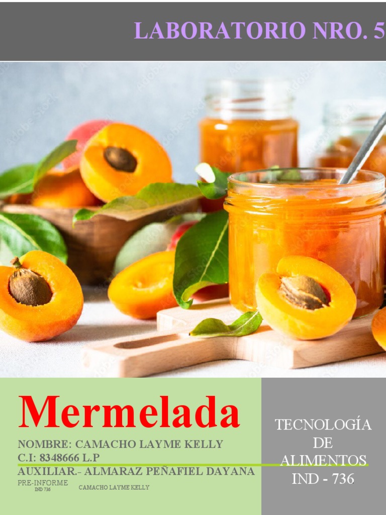 Preinf Mermelada Kelly Camacho Layme | PDF | Gelatina | Alimentos