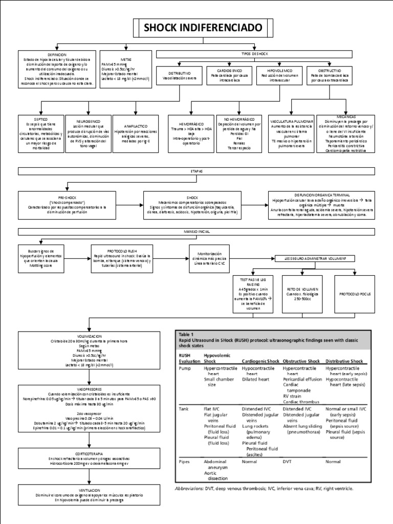 Shock Indiferenciado | PDF | Choque (circulatorio) | Fisiología