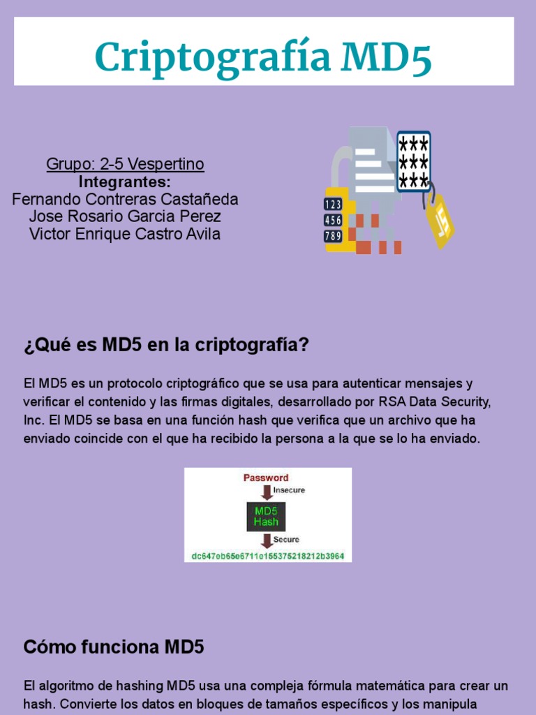 Criptografia Md5 Sindrome | PDF