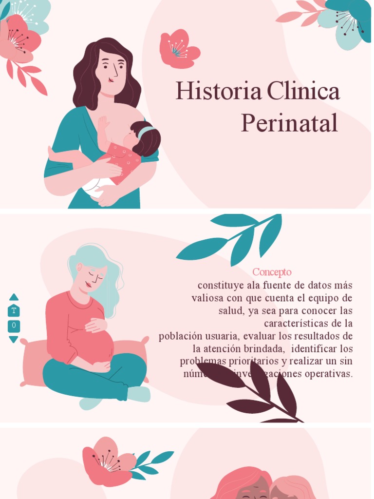 Historia Perinatal | PDF | El embarazo | Parto