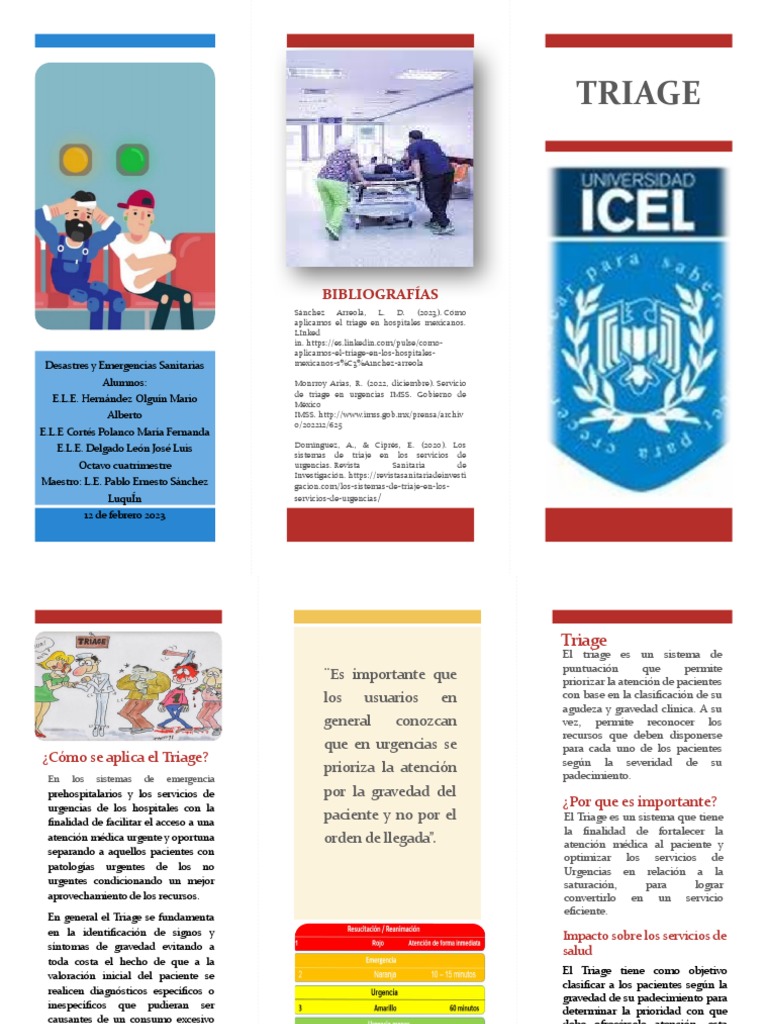 TRIAGE TRIPTICO | PDF | Enfermedades y trastornos humanos | Ciencias de ...
