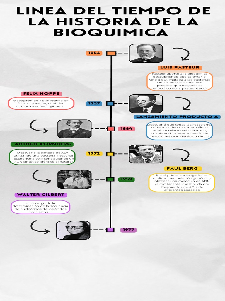 Infografia Línea Del Tiempo Historia Bioquimica | PDF