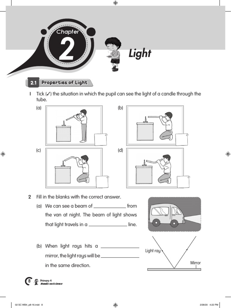 Hands-On Science Workbook Primary 4 (Chapter 02) | PDF | Mirror | Shadow