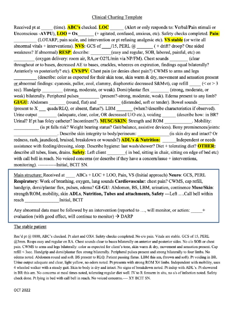 Nursing Chart Template | PDF