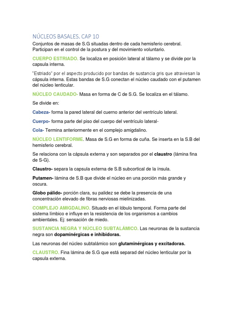 Anatomía y Función de los Núcleos Basales | PDF | Ganglios basales ...