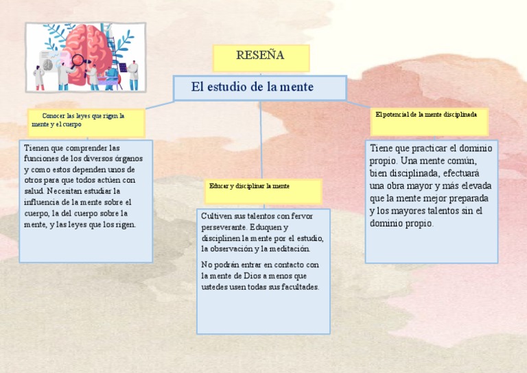 Organizador Grafico | PDF