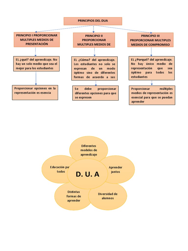 Principios y Pautas Del Dua | PDF Principios y Pautas Del Dua | PDF