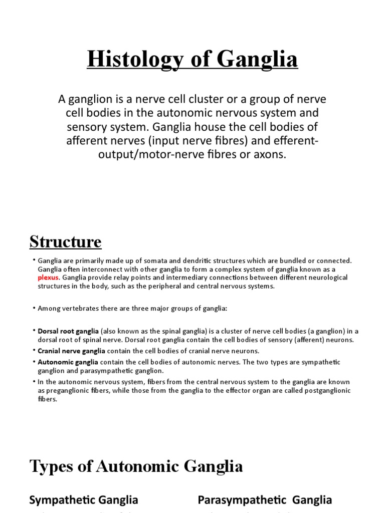 Histology of Ganglia | Download Free PDF | Ganglion | Autonomic Nervous ...