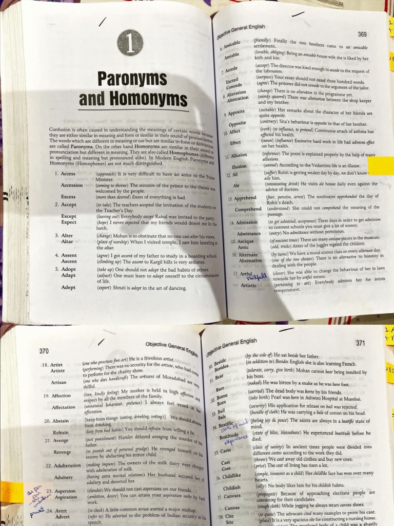 Homonyms | PDF