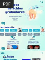 Oclusion Fosa Cuspide | PDF | Anatomia dental | Diente