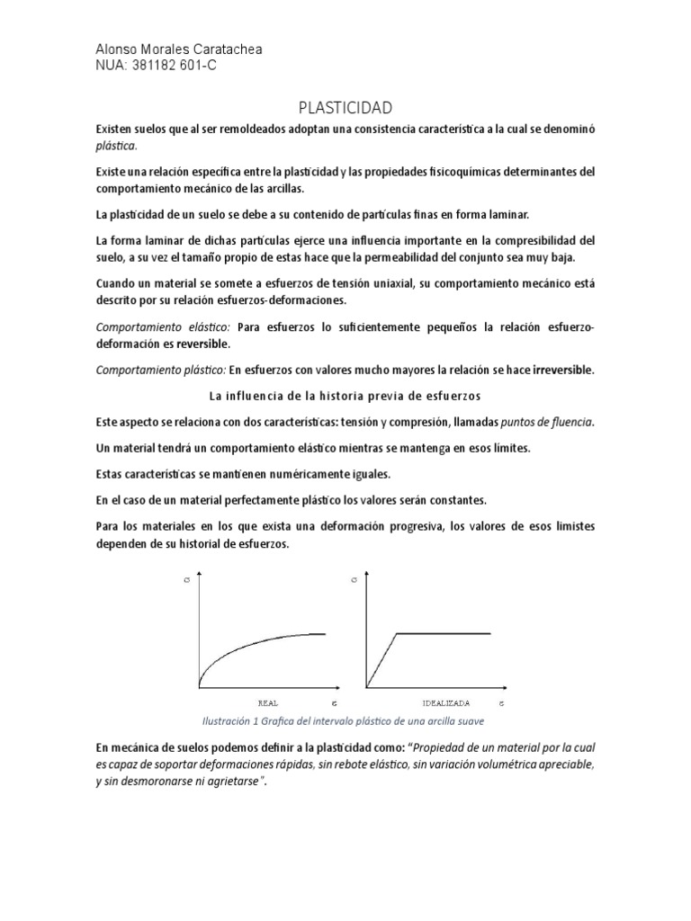 PLASTICIDAD | PDF | Plasticidad (Física) | Ciencia de los Materiales