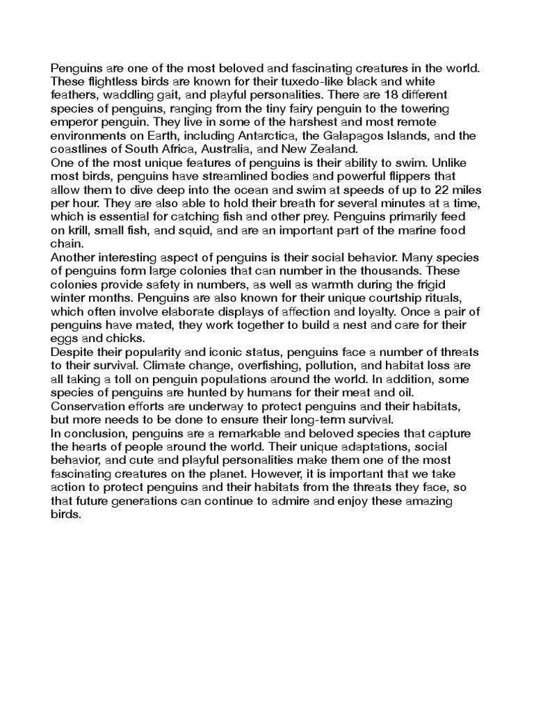 Penguins Essay Pdf Penguin Birds