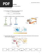 Coordination and Response - IGCSE Biology Notes (2020) | PDF | Synapse ...