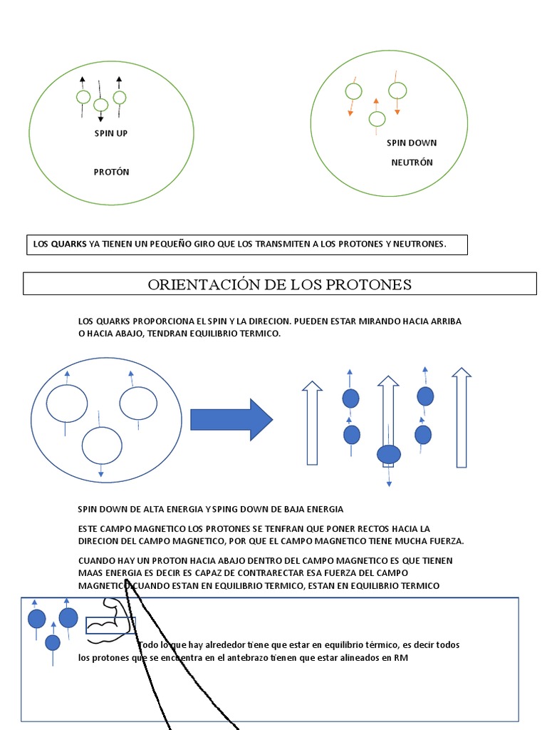 Orientación de Los Protones | PDF
