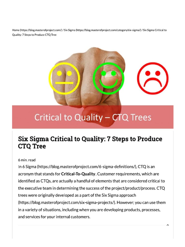CTQ Plan | PDF
