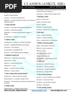 Bombastic Words | PDF