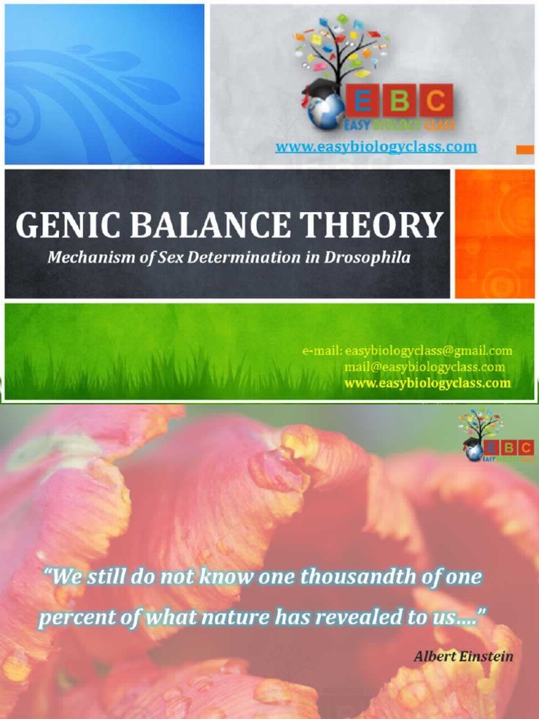 Genic Balance Theory Of Sex Determination Ppt By Easybiologyclass Pdf