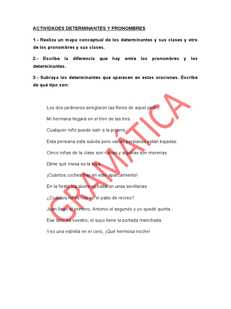 Actividades Determinantes y Pronombres | PDF