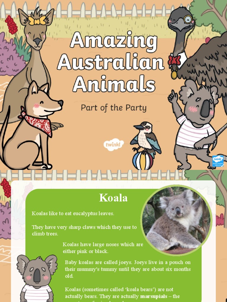 Amazing Australian Animals Powerpoint English - Ver - 1 | PDF | Koala ...