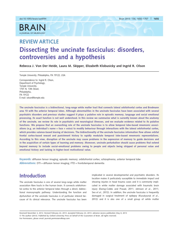 Uncinate Fasciculus: Function and Disorders | PDF | Temporal Lobe ...