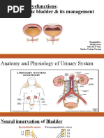 Oxford Stroke Classification: Also Known As Bamford Classification ...