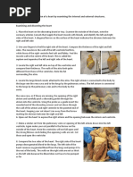 Circulatory System of Frog | PDF | Heart | Atrium (Heart)