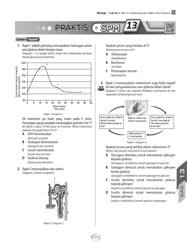 Praktis Biologi Bab 1 3 T4? | PDF
