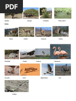 Relieve de La Provincia de Misiones | PDF