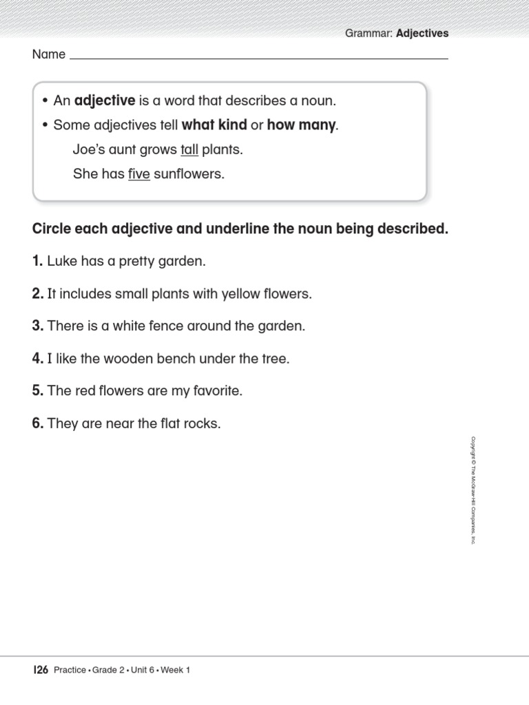 Grammar6 1 | PDF | Adjective | Noun