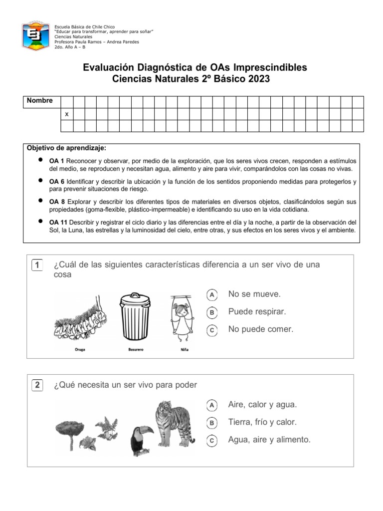 Evaluación Diagnóstica Ciencias Naturales 2º Básico | PDF | Dom | Estrellas