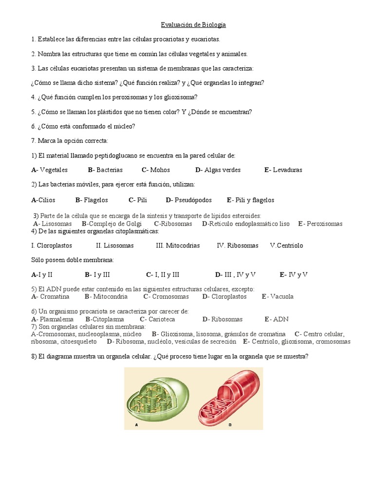 Evaluación de Célula | PDF | Biología Celular) | Citoplasma