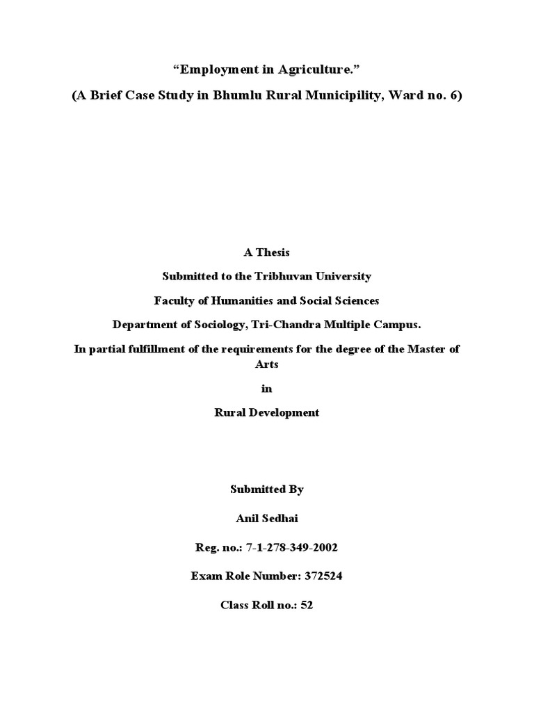 Thesis (In Progress) | PDF | Tourism | Survey Methodology