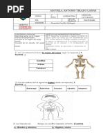 Prueba 2° Básico Mi Cuerpo Ciencias Naturales | PDF | Pulmón | Corazón