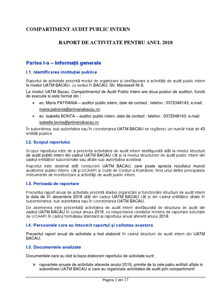 Compartiment Audit Public Intern - Raport Activitate 2018 | PDF