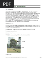 ANSI A300 Pruning Standards Overview | PDF | Pruning | Plant Stem