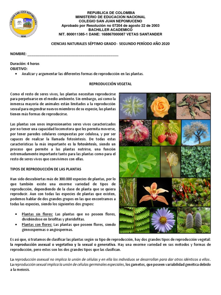 Tipos de Reproducción en Plantas | PDF | Flores | Plantas