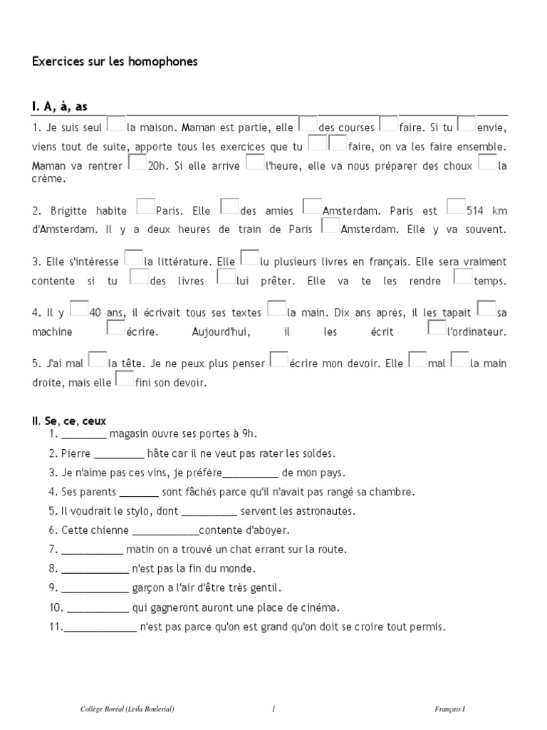 Exercices Sur Les Homophones | PDF