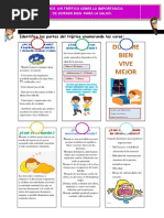 El Tríptico-Comunicación | PDF