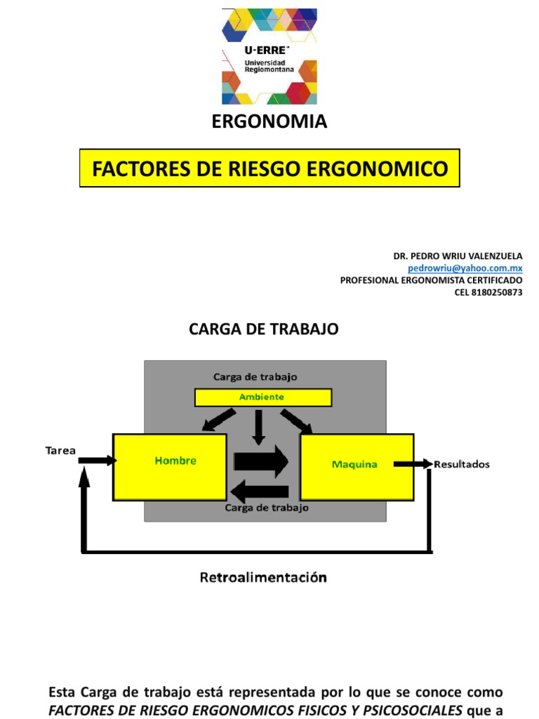 Factores de Riesgo Ergonómico | PDF | Factores humanos y ergonomía | La ...