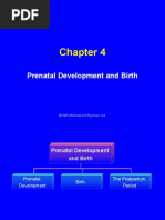 RCH Portal Data Entry Manual | PDF | Childbirth | Pregnancy