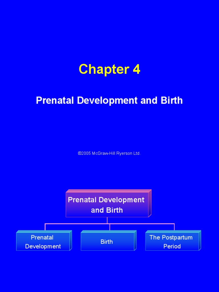 HHG4M - Lifespan Development Textbook Lesson 4 | PDF | Childbirth ...