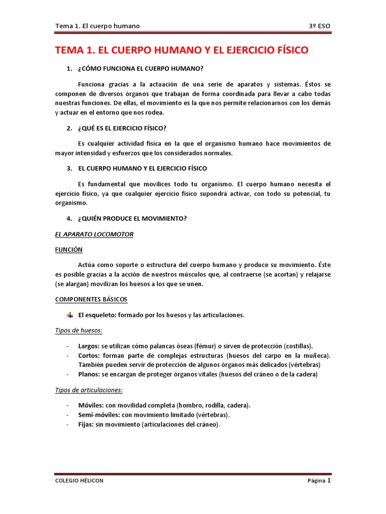 Tema 1. El Cuerpo Humano | PDF | Pulmón | Sistema respiratorio
