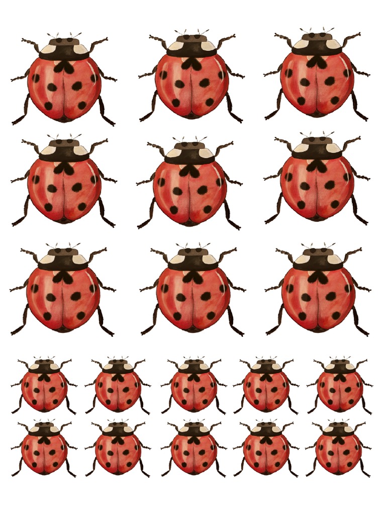 KATICA - Kicsi-Nagy Bogarak | PDF