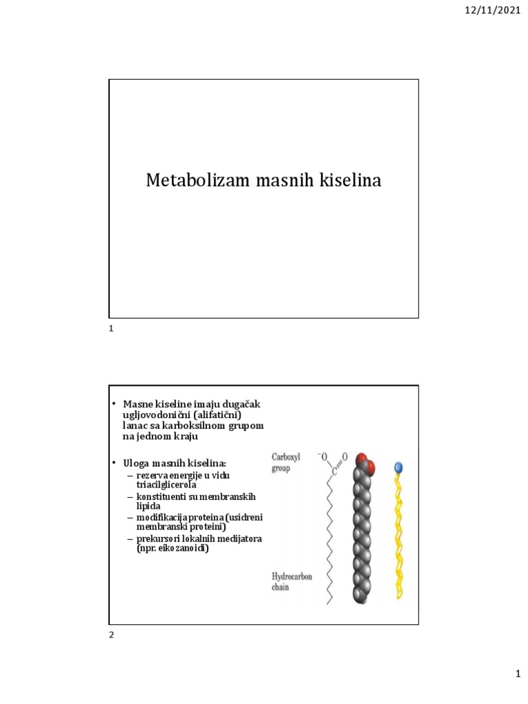 14-Metabolizam Masnih Kiselina | PDF